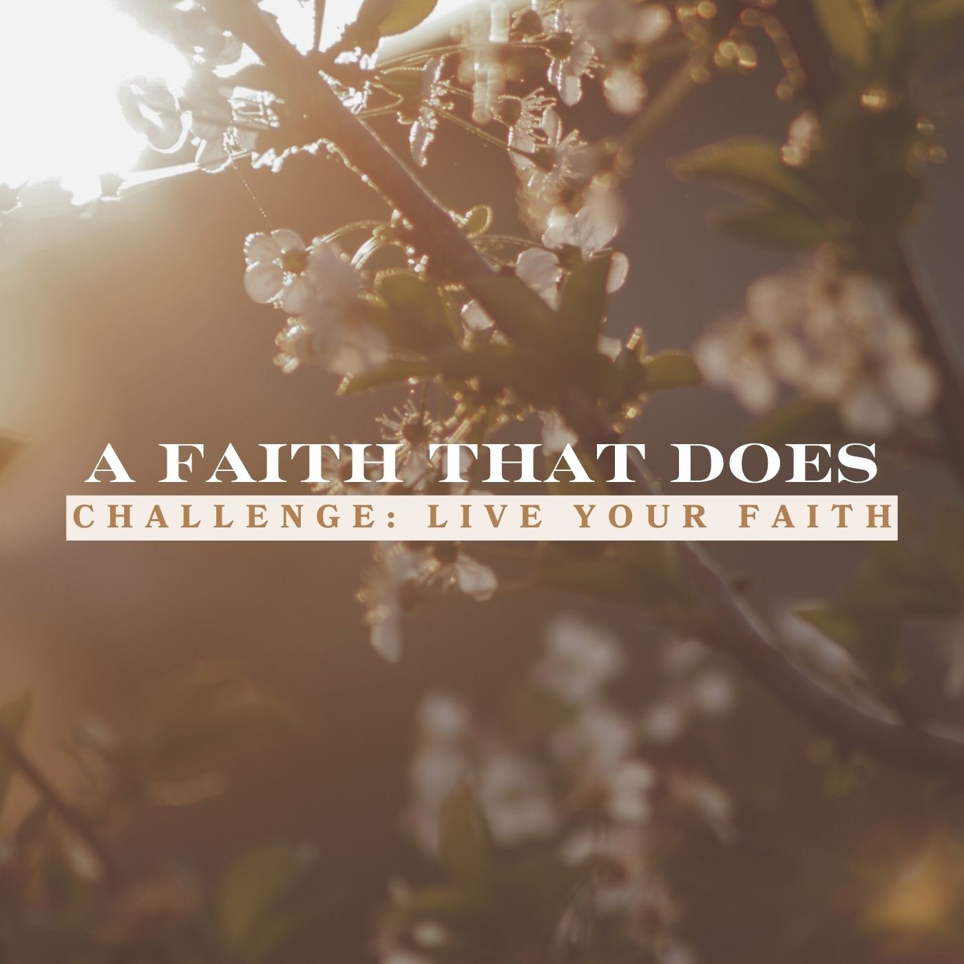 Session 18: A Faith That Does - Eagleville Bible Church